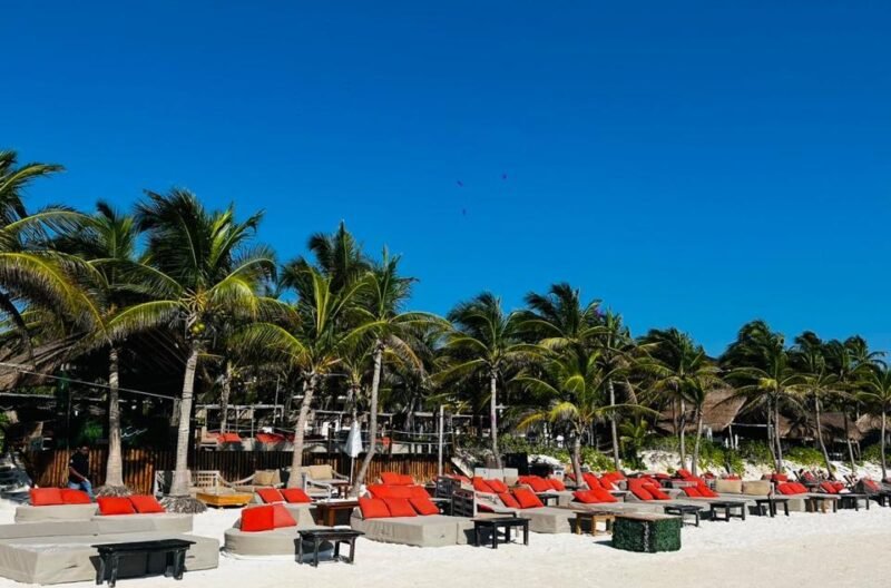 Taboo Tulum Beach Club y Restaurante Reservaciones