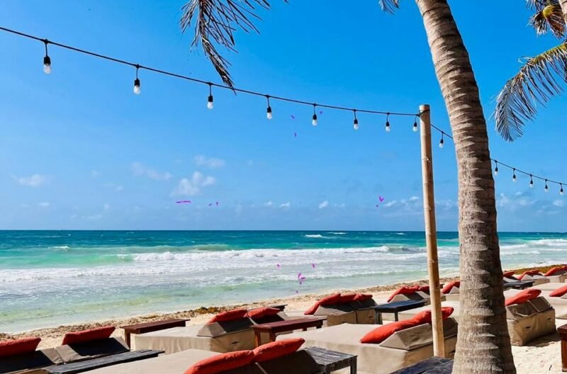 Taboo Tulum Beach Club y Restaurante Reservaciones