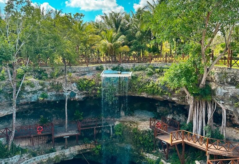 Tour: Tulum Parque Jaguar + Cenotes Casa Tortuga - VENUES