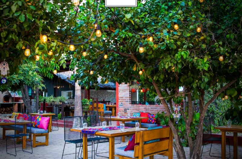 Restaurante Parole Polanco CDMX Reservaciones